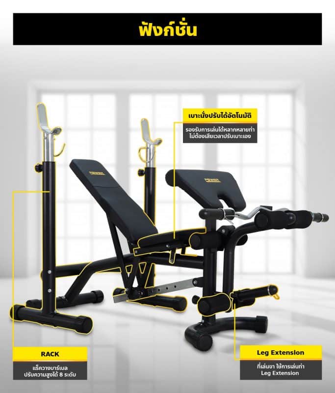 WEIGHT BENCH MONSTER - MUSCLE SPIRIT