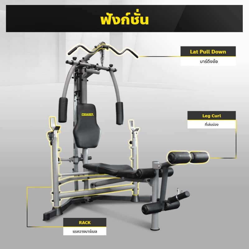 WEIGHT BENCH LEGACY - MUSCLE SPIRIT